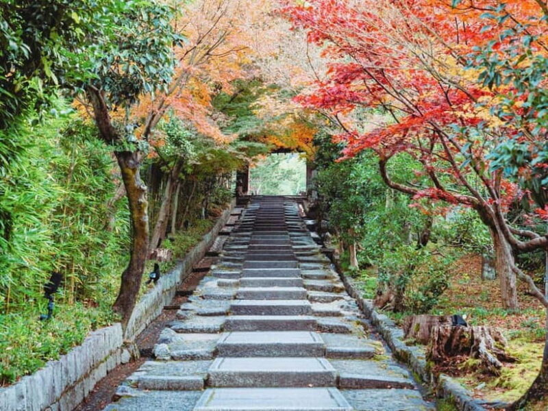 [2.3km / 1.43mi] Kyoto East Early Morning Walking Tour - A Deep Dive into the Experience