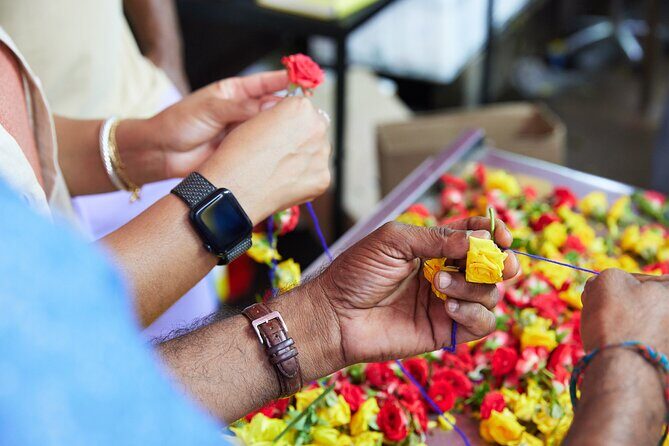 2-4 days in Singapore Guided Tour Pass - What’s Included and What to Consider