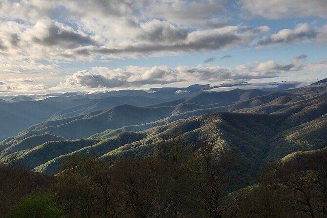 2.5-3 hour Smoky Mountain Cherokee Blue Ridge Parkway Safari tour - Practical Details & Tips