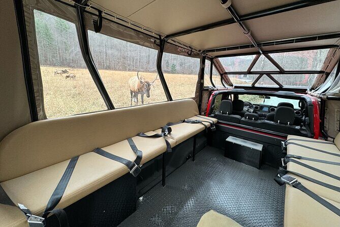 2.5-3 hour Smoky Mountain Cherokee Blue Ridge Parkway Safari tour - Who Is This Tour Best For?