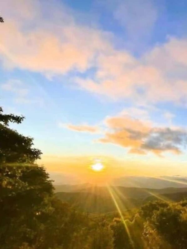 2.5-3 HR Guided Safari Jeep Mile-High Adventure - Key Points