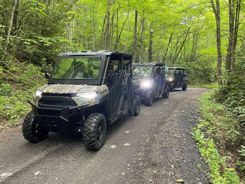2.5-3 HR Maggie Valley: Guided Scenic UTV Adventure - Authentic Insights from Reviews