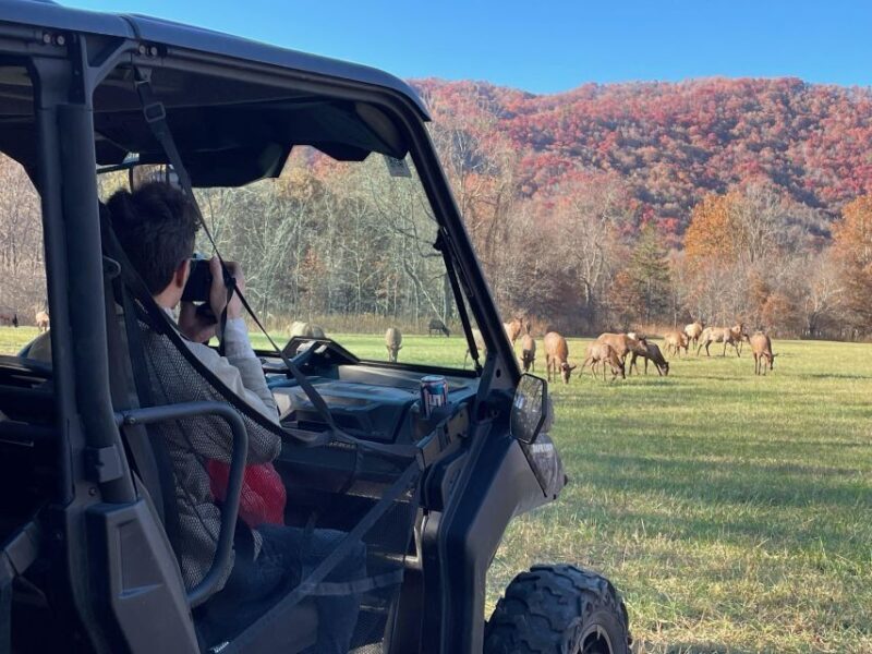 2.5-3 HR Maggie Valley: Guided Scenic UTV Adventure - Final Thoughts: Is It Worth It?