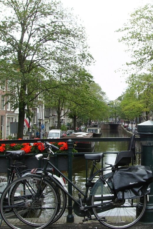 2.5-Hour Amsterdam Sightseeing Tour by Bike - The Value of This Tour