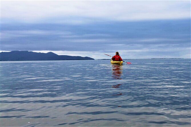 2.5 Hour Guided Sea Kayaking in Roundstone Bay - Why It’s a Great Choice