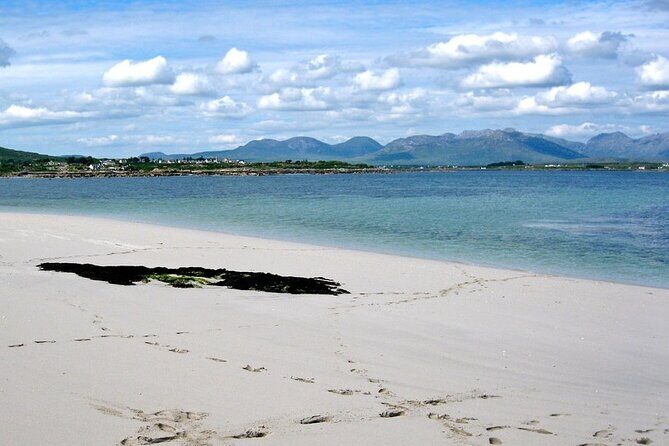 2.5 Hour Guided Sea Kayaking in Roundstone Bay - Final Thoughts