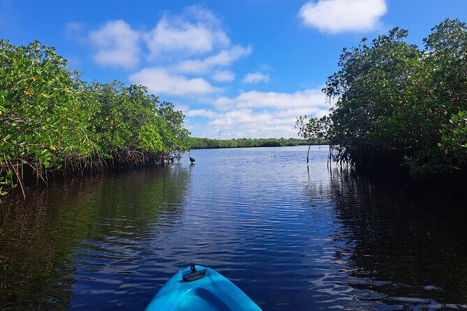 2.5 Hour Kayaking with Manatee and History Tour in Tarpon Springs - Authentic Experiences According to Travelers