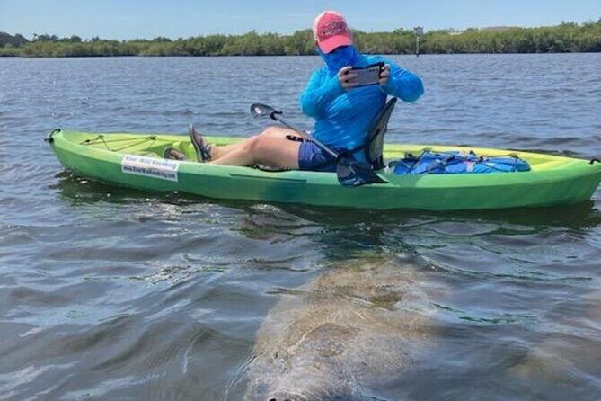 2.5 Hour Kayaking with Manatee and History Tour in Tarpon Springs - Practical Tips for Future Participants