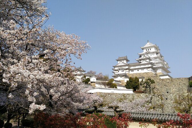 2.5 Hour Private History and Culture Tour in Himeji Castle - Practical Details and Logistics