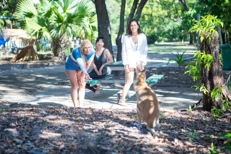 2.5-Hour Ultimate Jet Ski Safari to North Stradbroke Island - The Sum Up