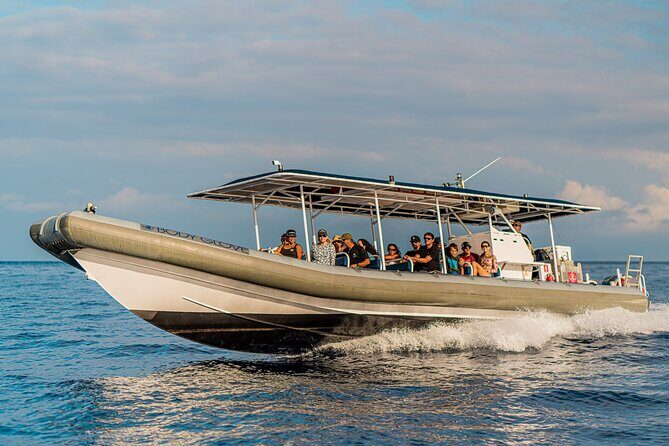 2.5-Hour Whale Watching On A 41' Super-Raft - An Honest Look at the Experience