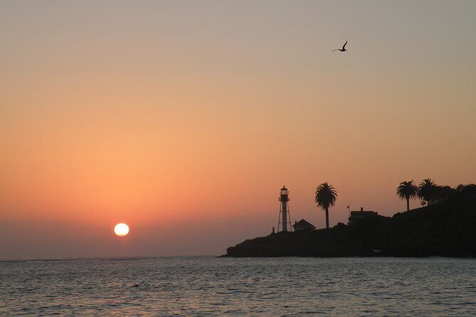 2.5 Hours of Fun: Catamaran Sunset Sail - The Sum Up