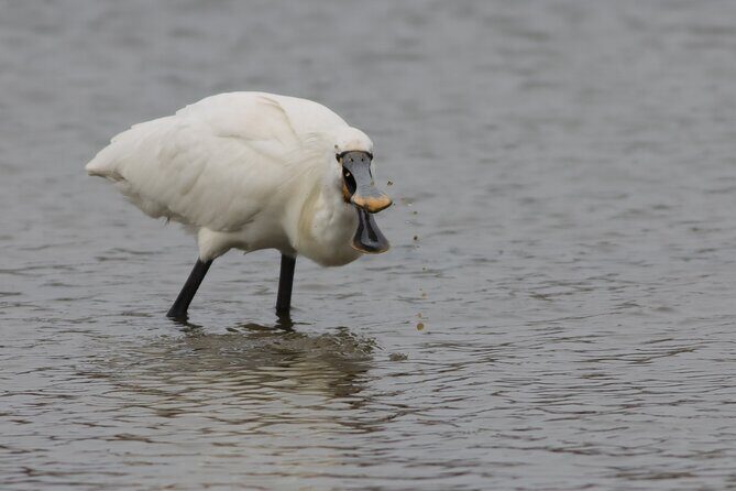 2.5 Hours SightSeeing Tour in Beaulieu River - Who is This Tour Best Suited For?