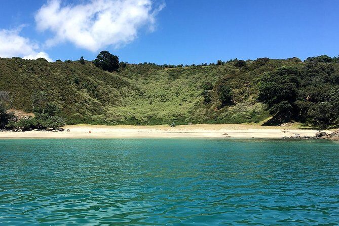 2.5 Hours Wine Tour in Waiheke Island for Cruise Ship Travelers - What Travelers Say