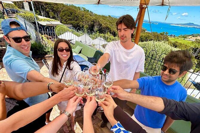 2.5 Hours Wine Tour in Waiheke Island for Cruise Ship Travelers - Practical Details: What Travelers Should Know