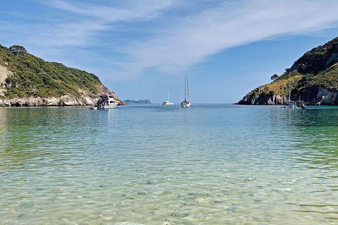 2.5 Hours Wine Tour in Waiheke Island for Cruise Ship Travelers - The Sum Up