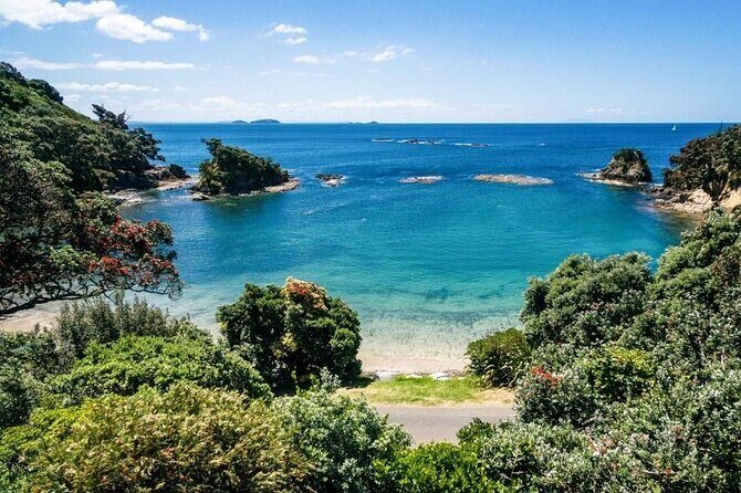 2.5 Hours Wine Tour in Waiheke Island for Cruise Ship Travelers - FAQ