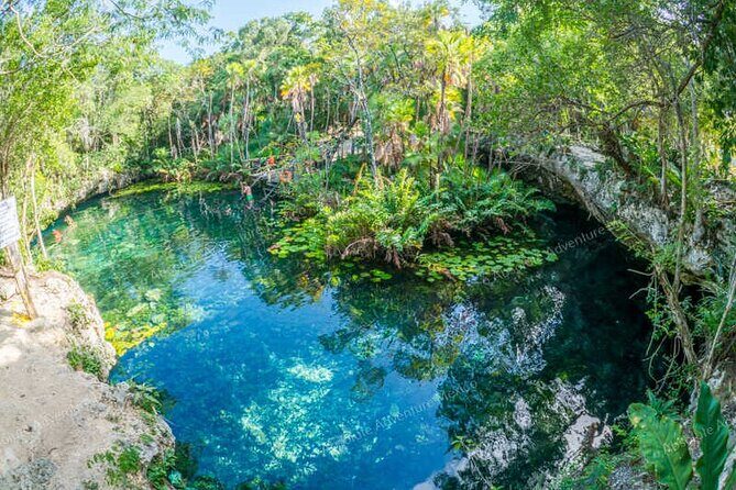 2 Cenotes Private Tour  VIP Adventure with Expert Guide - How the Tour Works: A Detailed Breakdown