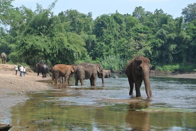 2 day 1 night Elephant World Kanchanaburi from Bangkok - The Itinerary in Detail