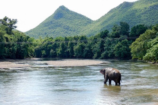 2 day 1 night Elephant World Kanchanaburi from Bangkok - Final Thoughts: Is It Worth It?