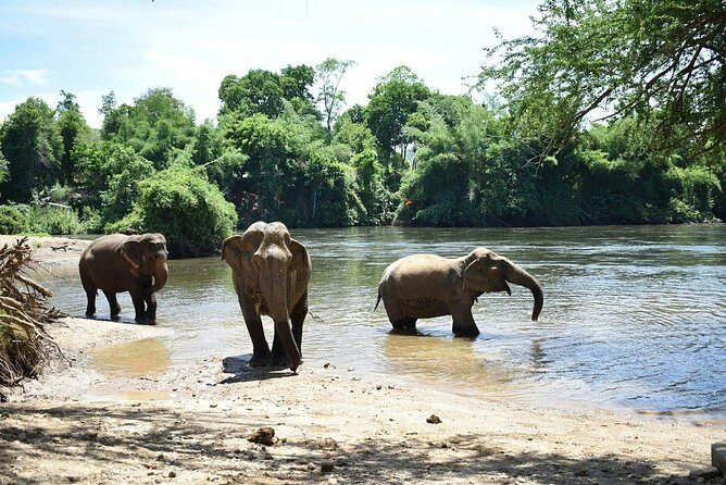 2 day 1 night Elephant World Kanchanaburi from Bangkok - FAQs