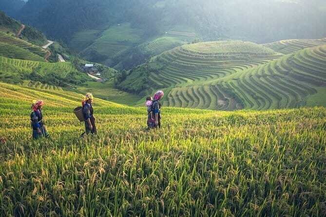 2 Day 1 Night Tour to Pu Luong Nature Reserve - Overall Value and Experience