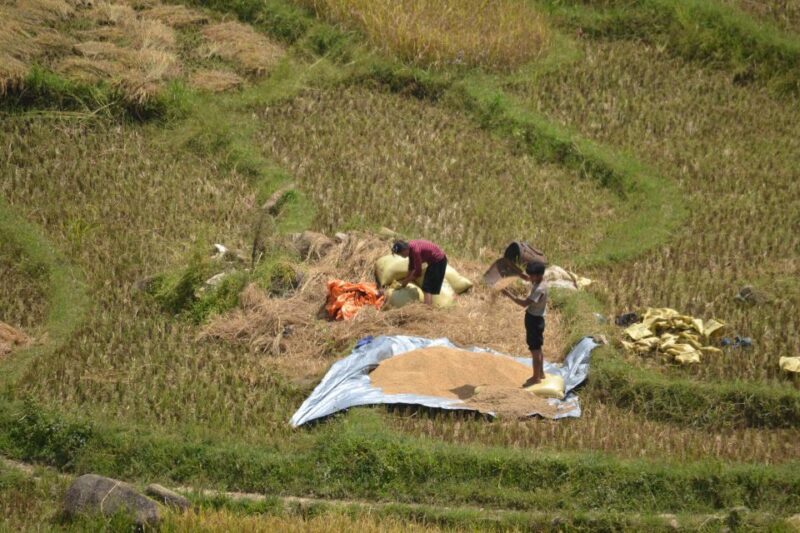 2 Day-2 Night Sapa Trekking: Overnight Train &Limousine Bus - The Journey Begins: A Deep Dive into the Itinerary