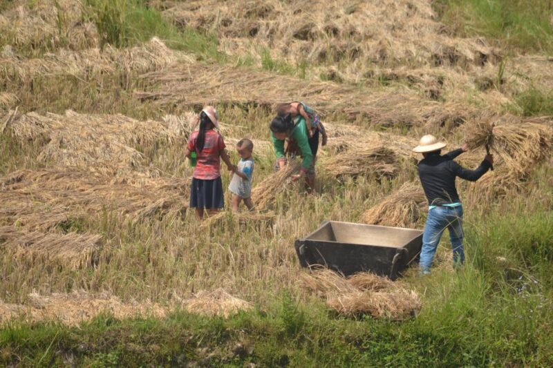 2 Day-2 Night Sapa Trekking: Overnight Train &Limousine Bus - FAQ