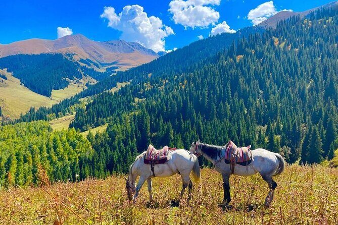 2-Day Adventure: Horseback Riding, Konorchek Canyons & Yurt Stay - Who Should Consider This Tour?