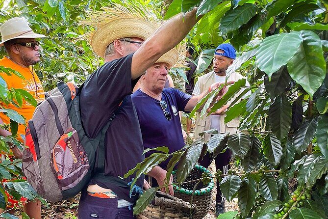 2-Day All-Inclusive Package Along the Coffee Route in the South - Exploring the Coffee Route in the Dominican Republic: A Detailed Review