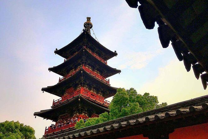 2-Day Amazing Shanghai and Suzhou Private Tour including Water Town - Who Should Consider This Tour?