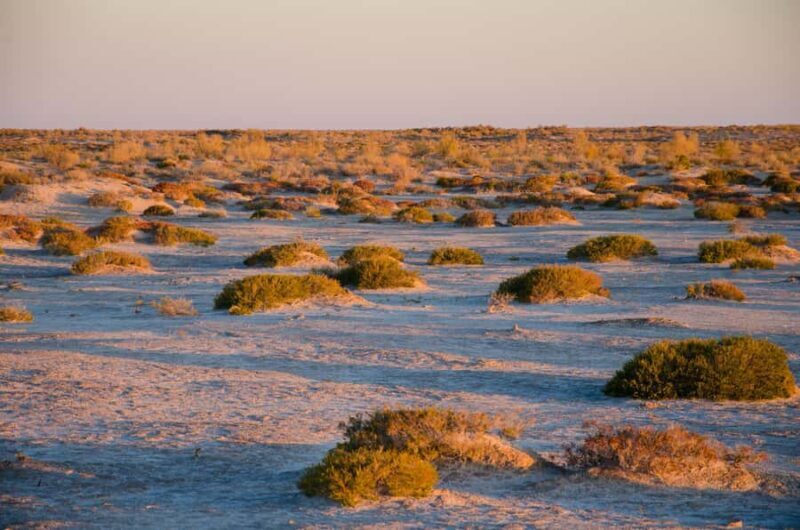 2-Day Aral Sea Tour - Final Thoughts