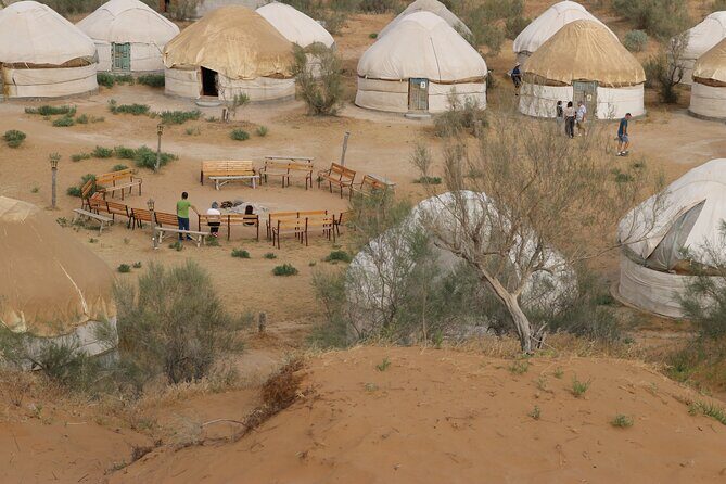 2 Day Aydar Lake Yurt Camping Tour from Bukhara - Exploring the Itinerary: What You Can Expect