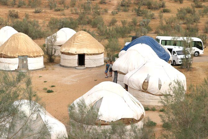 2 Day Aydar Lake Yurt Camping Tour from Samarkand - Key Points