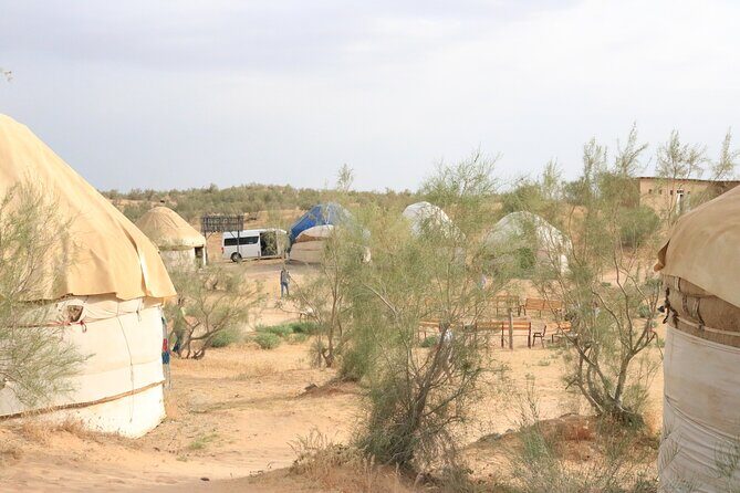 2 Day Aydar Lake Yurt Camping Tour from Samarkand - Practical Tips for Potential Participants