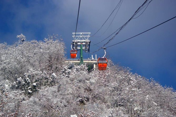 2-Day Beijing Xian Private Tour: Great Wall, Forbidden City, Terracotta Warriors - Final Thoughts: Who Should Consider This Tour?