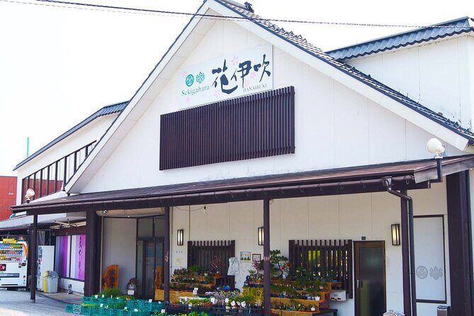 2-Day Bus Tour to Shirakawago & Hida No Sato Winter Illumination - An Honest Look at Cost and Value