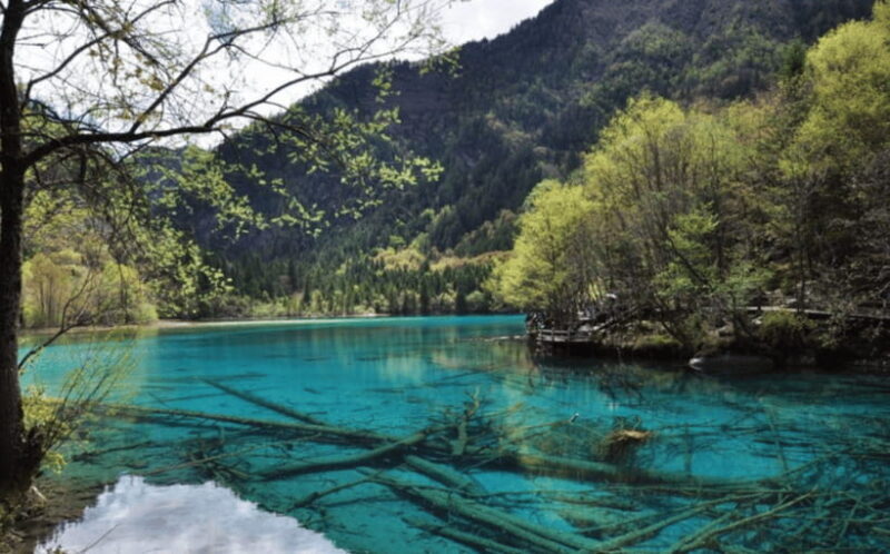 2 Day Chengdu to Jiuzhaigou&Huanglong Self-Guided w/Transfer - Who Should Consider This Tour?