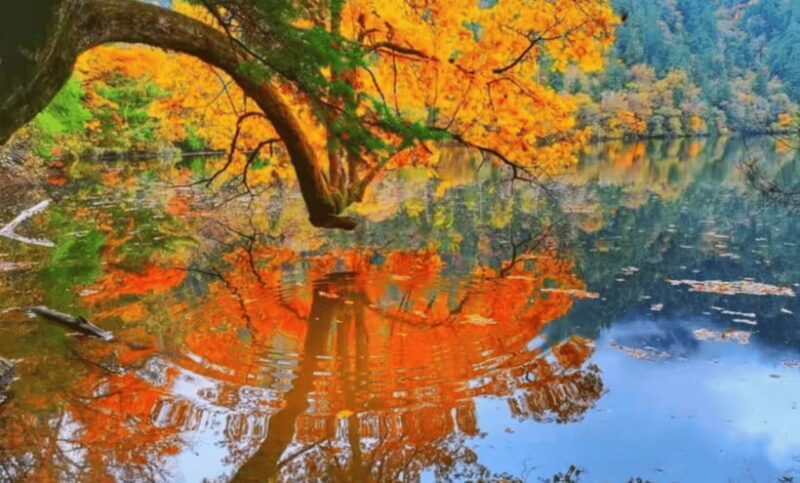 2 Day Chengdu to Jiuzhaigou&Huanglong Self-Guided w/Transfer - Final Thoughts