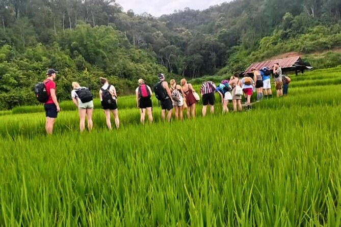 2 Day Chiang Mai Jungle Trek with Hill Tribes and Bamboo Rafting - An In-Depth Look at the 2-Day Chiang Mai Jungle Trek
