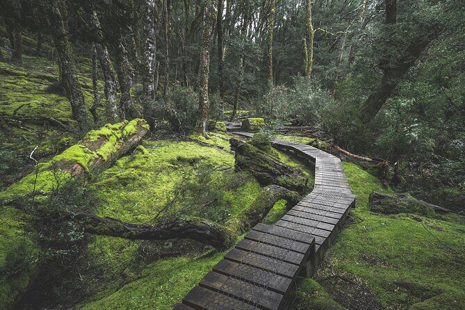 2 day Cradle Mountain and Wineglass Bay - Pricing and Value