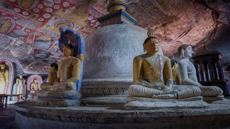 2-Day Cultural & Wildlife Tour to Sigiriya & Minneriya - Key Points