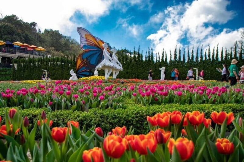 2-Day Da Nang & Hoi An :Ba Na Hills, Heritage & Ocean Views - Authentic Experiences and Traveler Insights