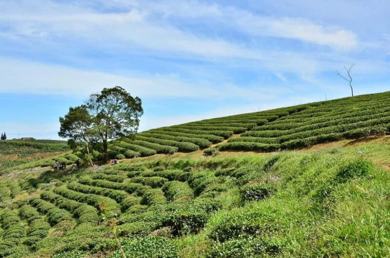 2-Day Dalat Motorcycle Tour To Mui Ne - What to Expect on the 2-Day Dalat to Mui Ne Motorcycle Tour