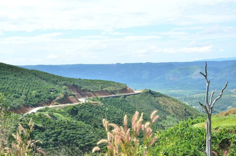 2-Day Dalat Motorcycle Tour To Mui Ne - Authentic Experiences & Traveler Insights