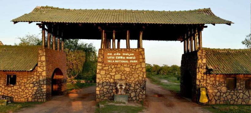 2-Day Ella and Yala Safari: Tour Tour from Colombo - Who Will Love This Tour?