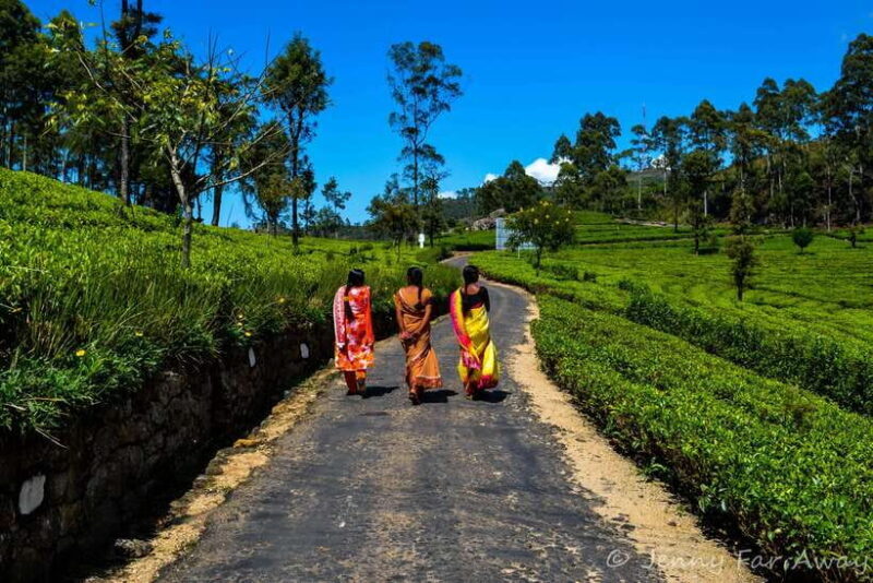 2-Day Ella Tour: Diyaluma Falls Horton Plains & Scenic Train - The Itinerary in Detail