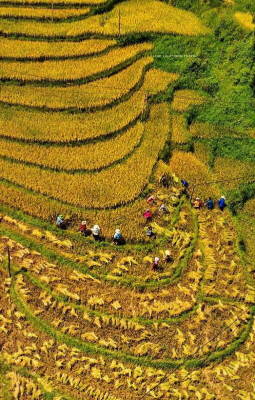 2-day Experiences of Sapa Ethnic Homestay Trek - Trekking Through Villages and Learning Traditions