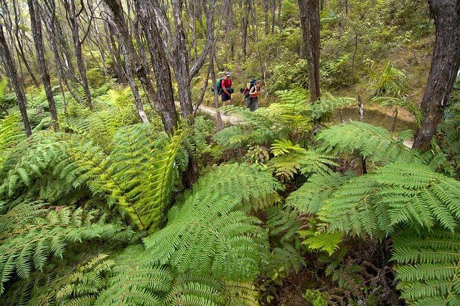 2 Day Freedom Kayak - Kayak Rental - New Zealand - Frequently Asked Questions