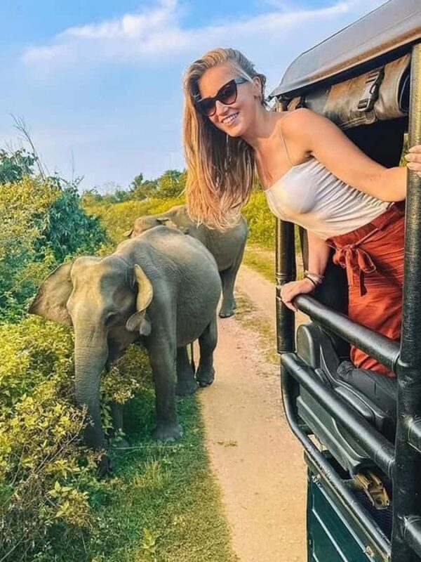 2-Day Galle to Sigiriya Tour with Minneriya Safari - The Value of a Private, Ethical Experience